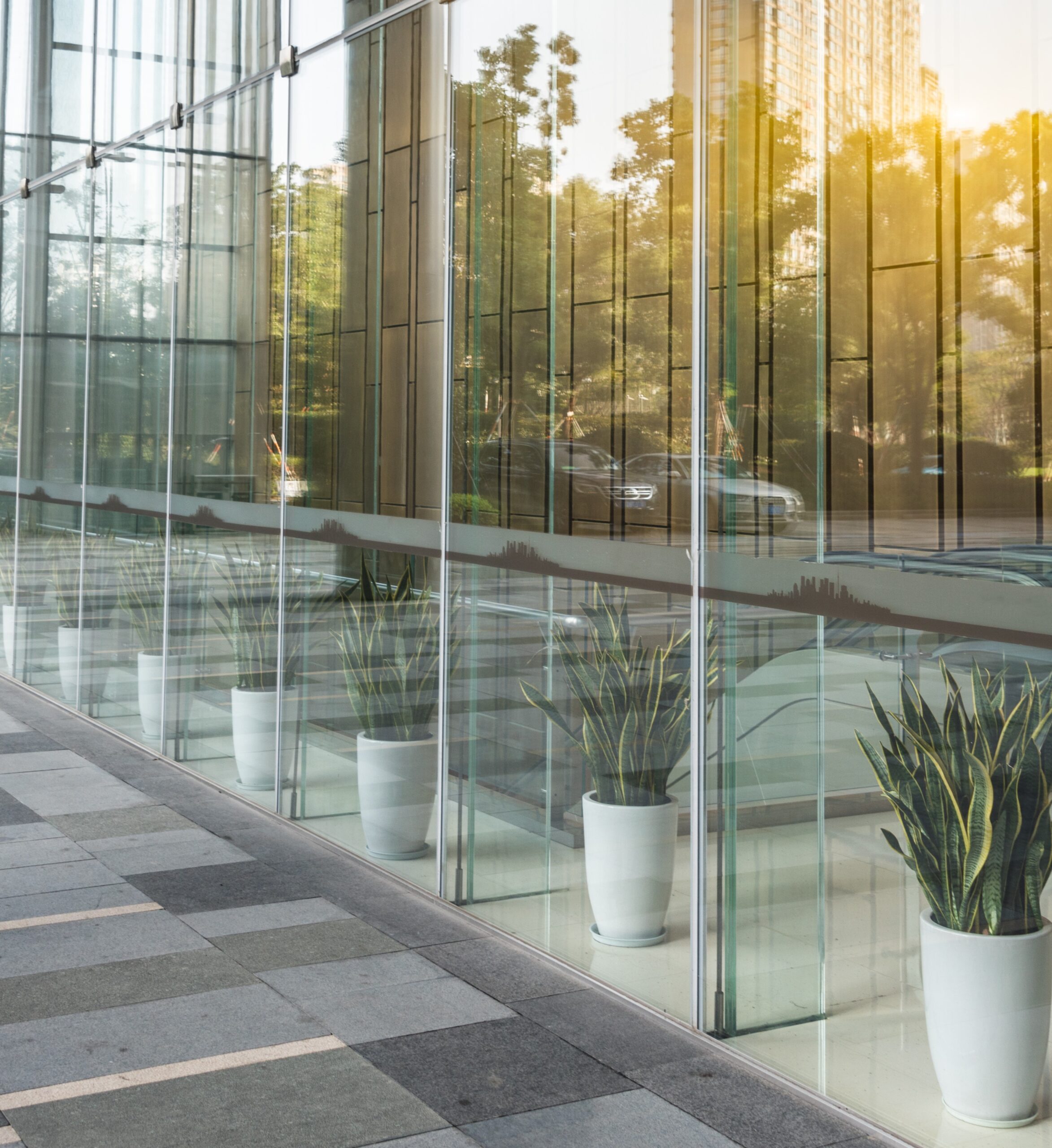 The Ultimate Guide To Creating A Spacious Home With Mirrored Glass ...